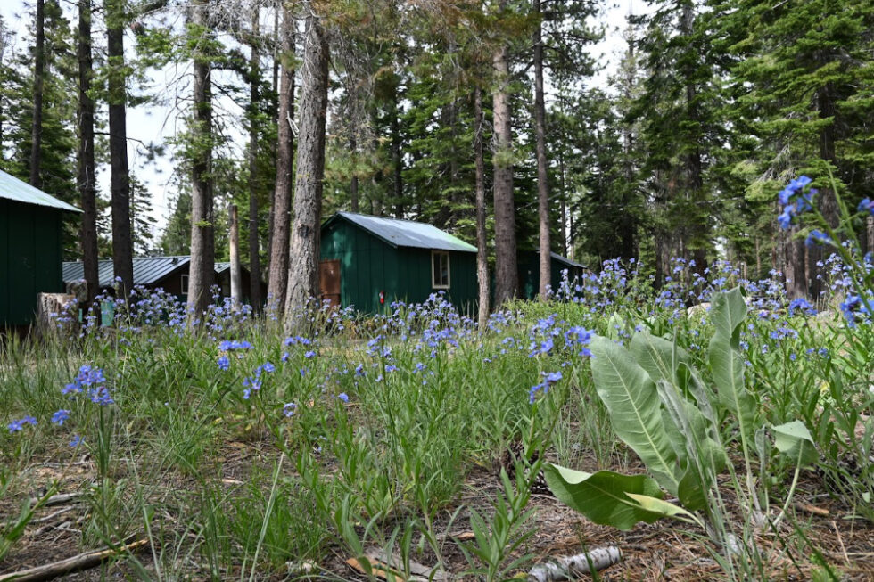 Camp Concord South Lake Tahoe - Adventure, Achievement, Acceptance